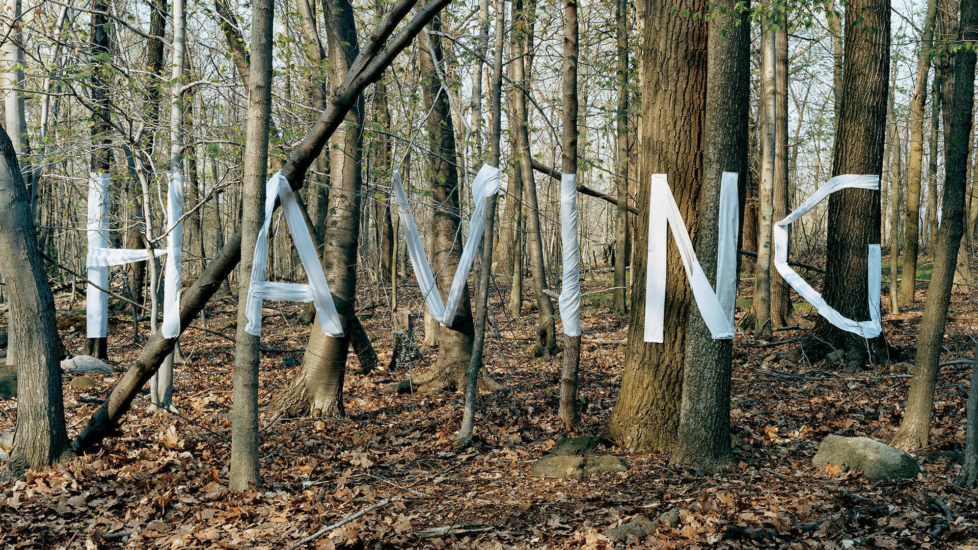 Having Guts Always Works Out For Me – Stefan Sagmeister